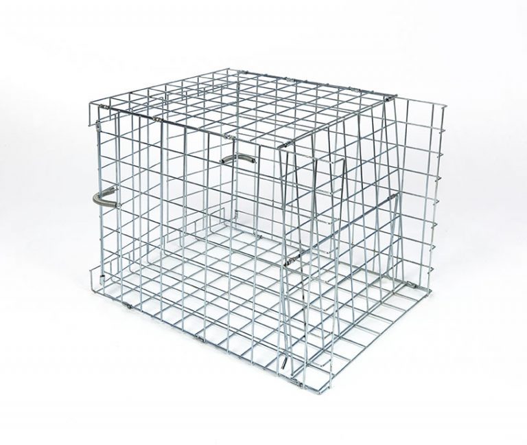 Traps Archives - Bethel Rhodes